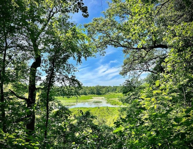 22 Most Liked Visitor & Resident Photos & Videos in 2022 - Visit ...