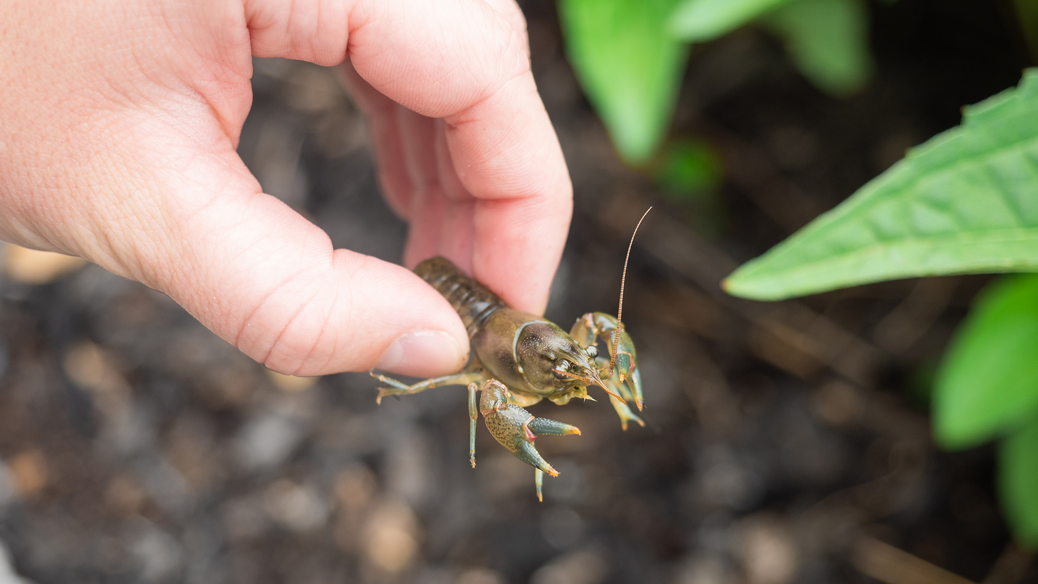 Event Calendar - Visit Kosciusko County