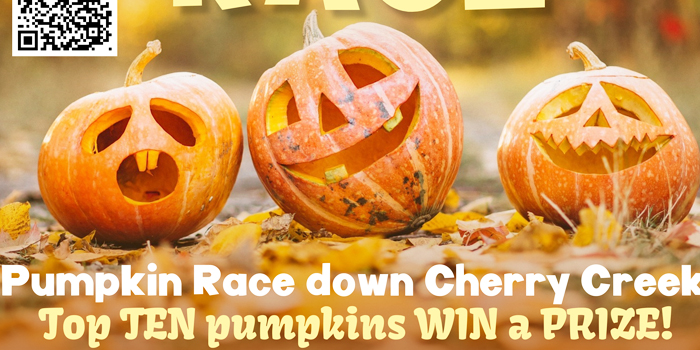 The Great Pumpkin Race - Visit Kosciusko County