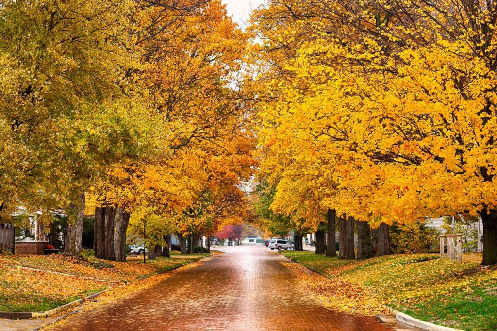 Fall Instagrammable Photo Location Guide to Kosciusko County - Visit ...