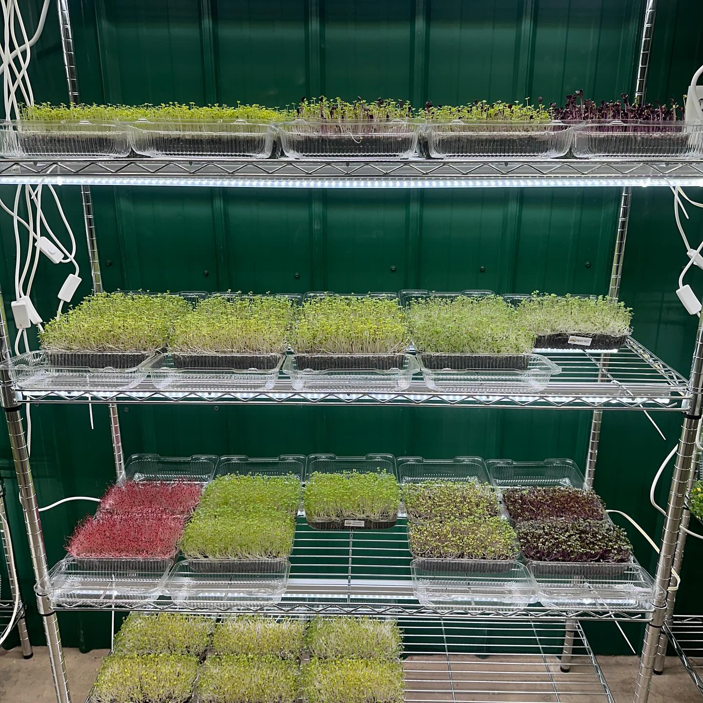 Back to Natural Farm - Visit Kosciusko County