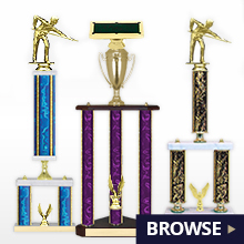 Awardsco.com - Billiard Trophies, Pool Trophies, Plaques and Medals ...