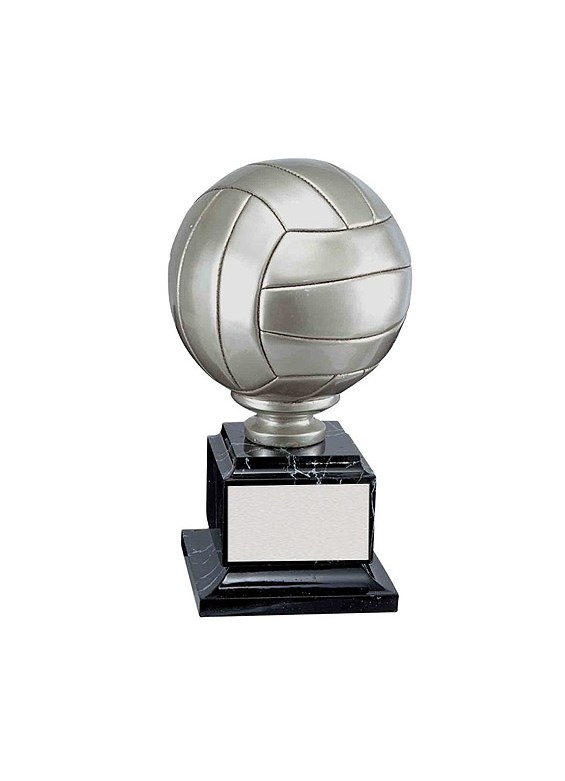 14" Anique Silver Volleyball Trophy | Awards International