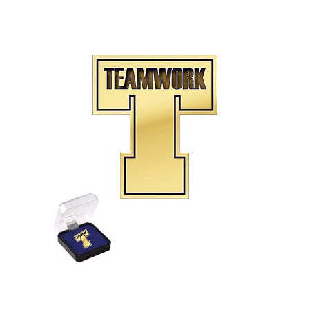 Teamwork Pin | Awards International