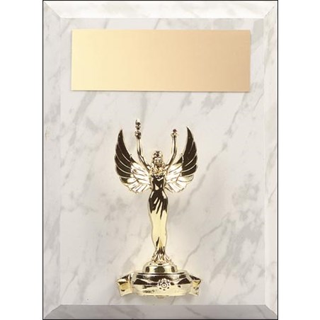 Victory Participation Plaque | Awards International