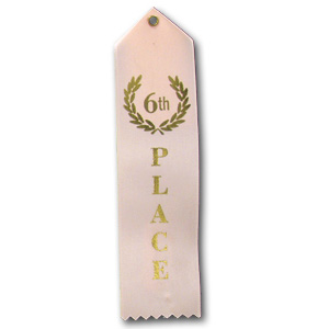 6th Place Ribbon | Awards International