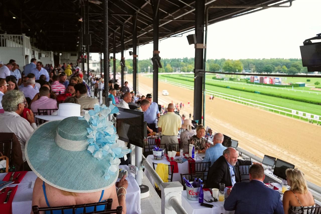 Premium Hospitality Options