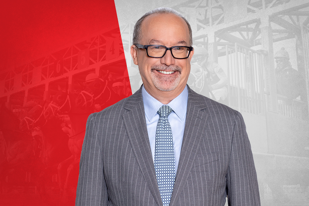 TimeformUS Race Analysis