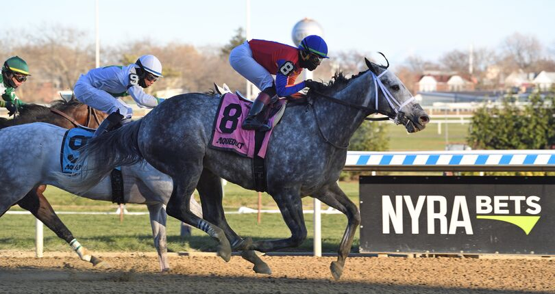 NYRA Thanksgiving Racing Festival highlights Aqueduct fall meet | Aqueduct