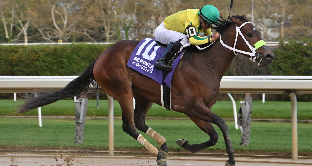 Ashburn Alley set for stakes debut in $100K Key Cents | Aqueduct