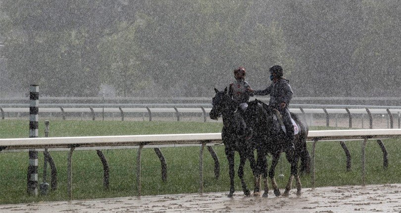 Best of 2020: Maggie Wolfendale | Aqueduct