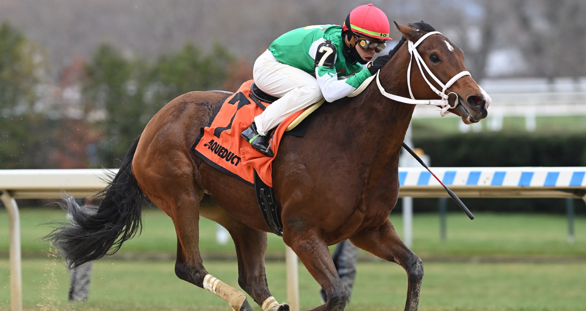 Dr B posts frontrunning title defense in G3 Go for Wand | Aqueduct