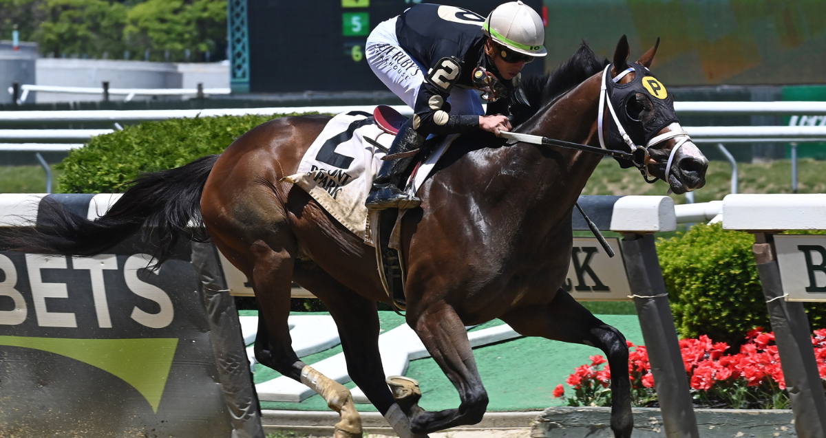 The Wine Steward flying the New York-bred flag at the 40th edition of ...