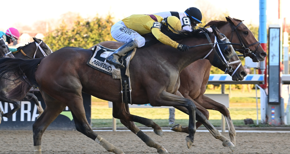 Raging Sea earns 89BSF for G3 Comely victory | Aqueduct
