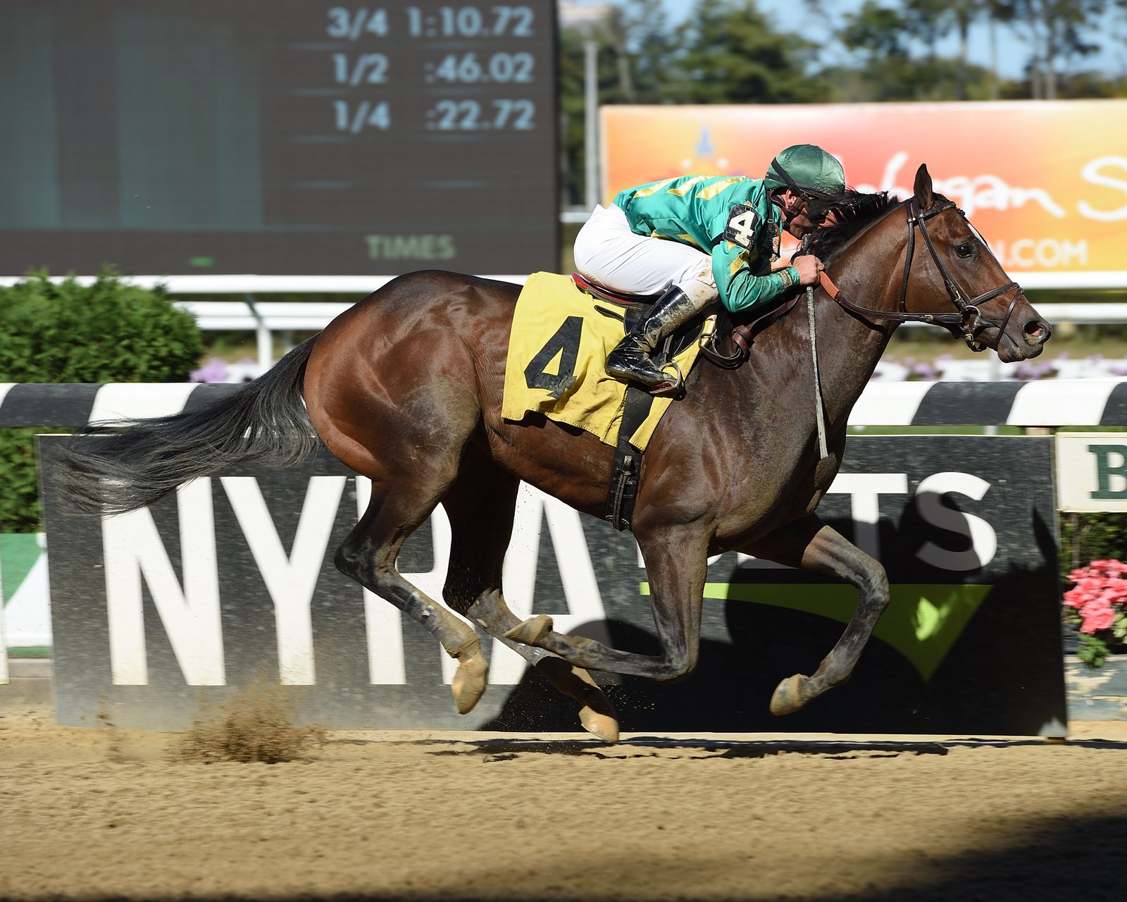Mask looks to reveal true self in Easy Goer | Belmont Park
