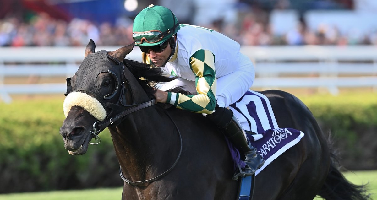 New York-breds in the spotlight on annual Big Apple Showcase Day ...