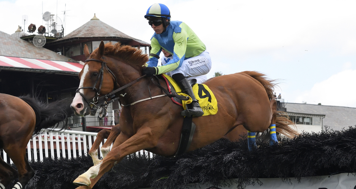 Ziggle Pops dominates G1 A.P. Smithwick Memorial H. | Saratoga