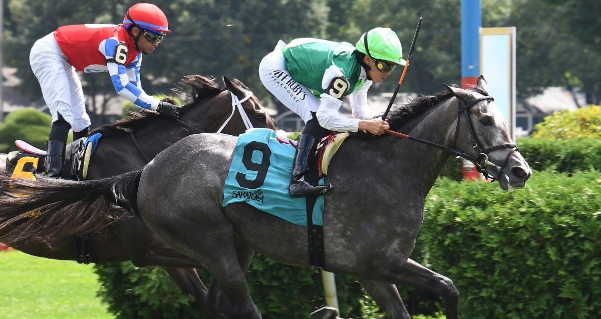 Brown has three chances to win record-extending 10th G2 Miss Grillo ...