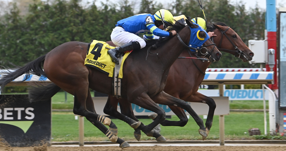 Duggan pointing Walk With Me to Maddie May | Aqueduct