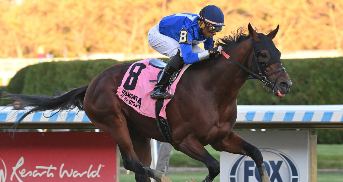 Mama’s Gold strikes it rich as 40-1 longshot caps Empire Showcase Day ...