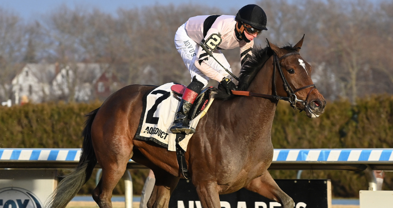 Occult much the best in $100K Busanda | Aqueduct