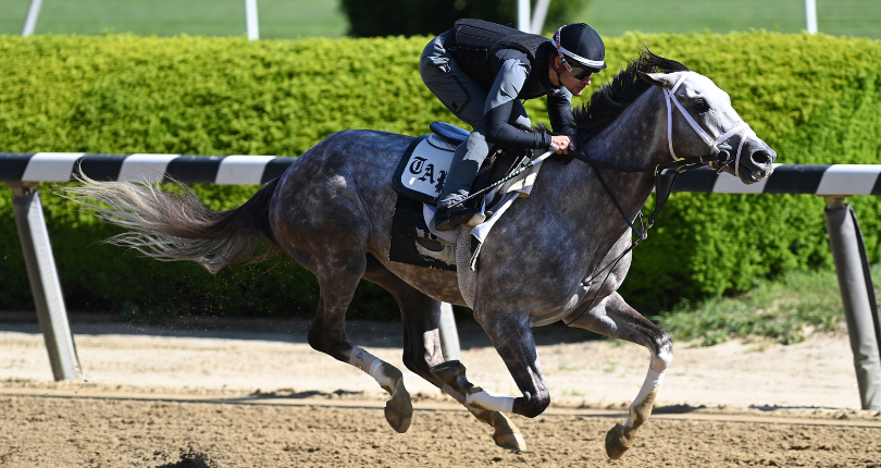 Tapit Trice ‘super’ in penultimate work for G1 Belmont Stakes presented ...