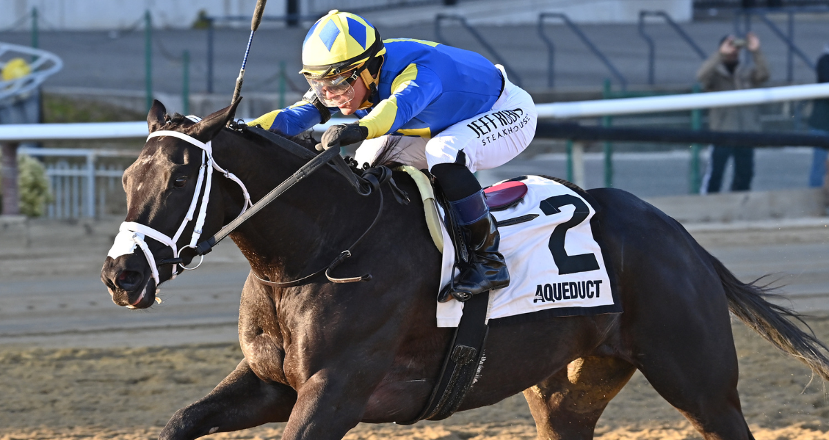 My Shea D Lady proves best in $500K NYSSS Fifth Avenue | Aqueduct