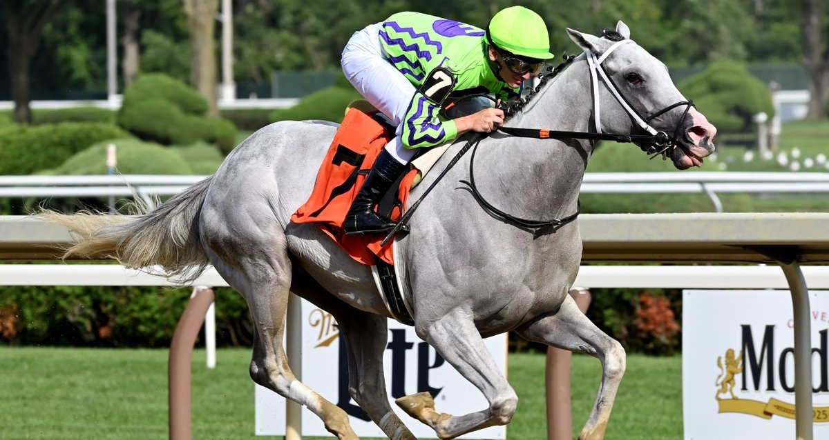 On to the “Next” title defense in $150K Birdstone | Saratoga