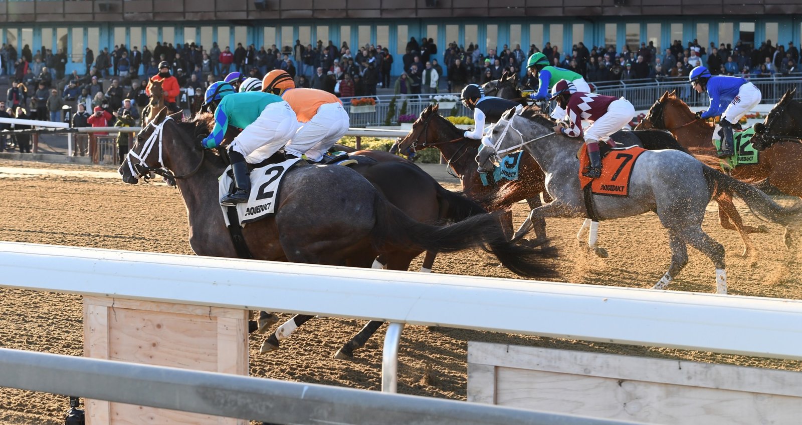 Dutrow could garner milestone win with Fabulously Funny in $100K Cicada ...