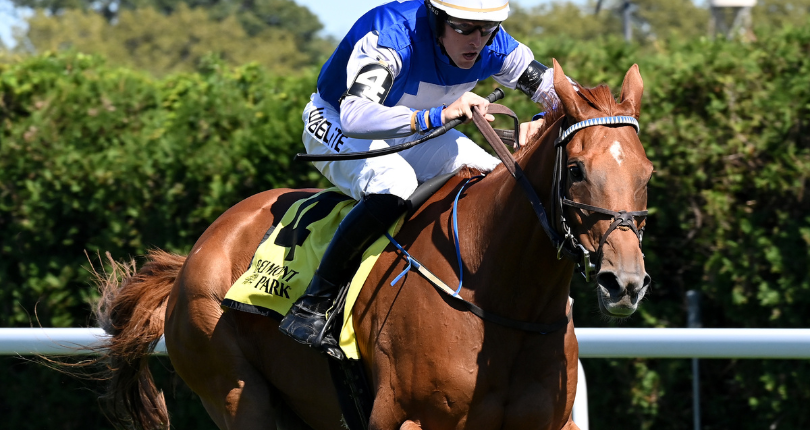 Noah And The Ark takes on nine rivals in G1 Jonathan Sheppard | Saratoga