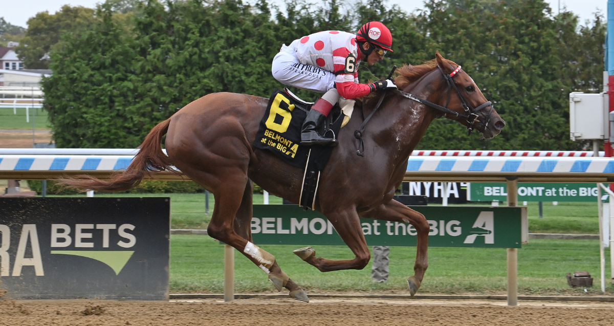 Official News for the 2025 Aqueduct Racetrack
