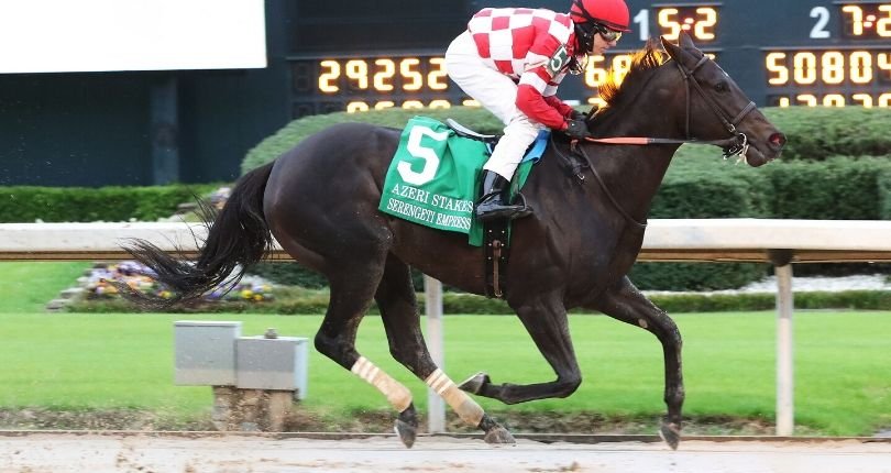 Tom Amoss and Serengeti Empress set to star on America's Day at the ...