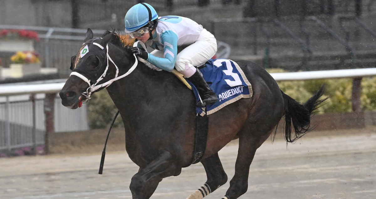 Super Chow splashes to victory in G3 Tom Fool Handicap | Aqueduct