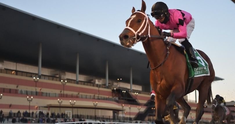 NYRA announces race dates and stakes schedule for 2020 Aqueduct fall ...