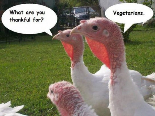 11 Dank Memes For This Thanksgiving That Everyone Will Relate To - AsViral