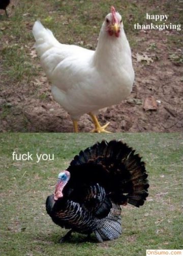 11 Dank Memes For This Thanksgiving That Everyone Will Relate To - AsViral