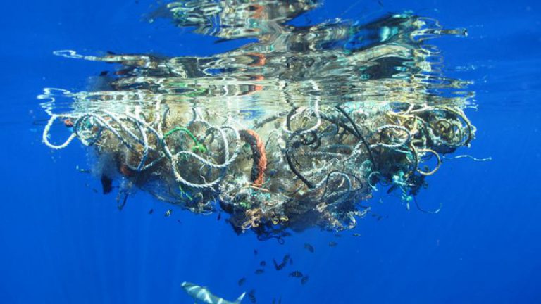 Millions Of Tons Of Microplastic Found In Oceans, Here Is How It ...