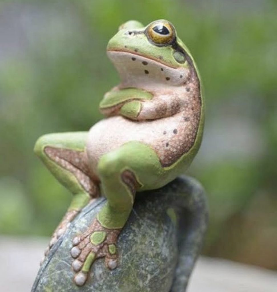 15 Pics Showing Animals Acting Like Humans - AsViral