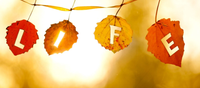 5 Fascinating Facts About Life - AsViral