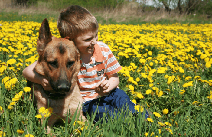 10 Best Dog Breeds for Autistic Kids - AsViral