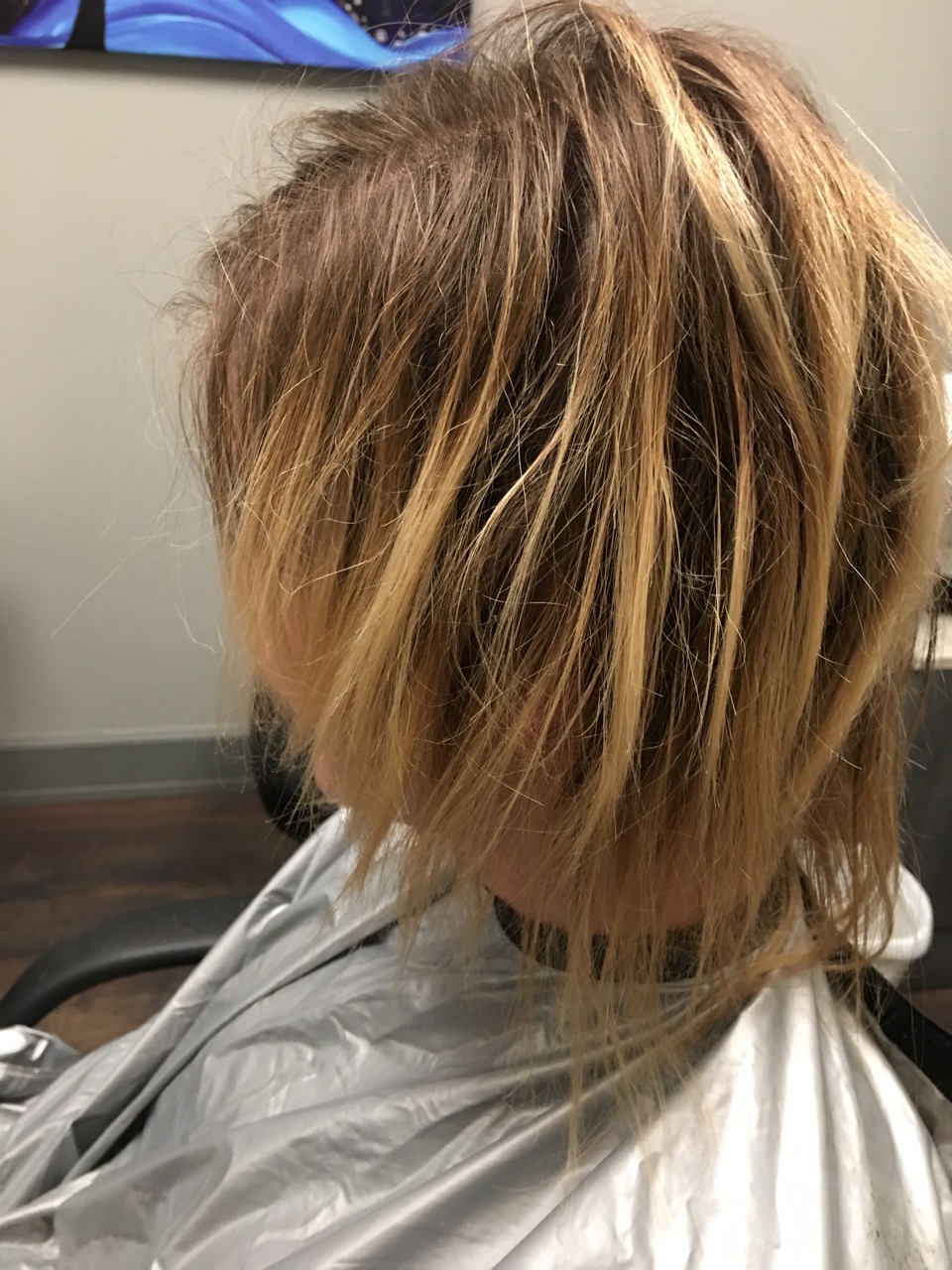 Minneapolis Hair Extensions Photo Gallery 2