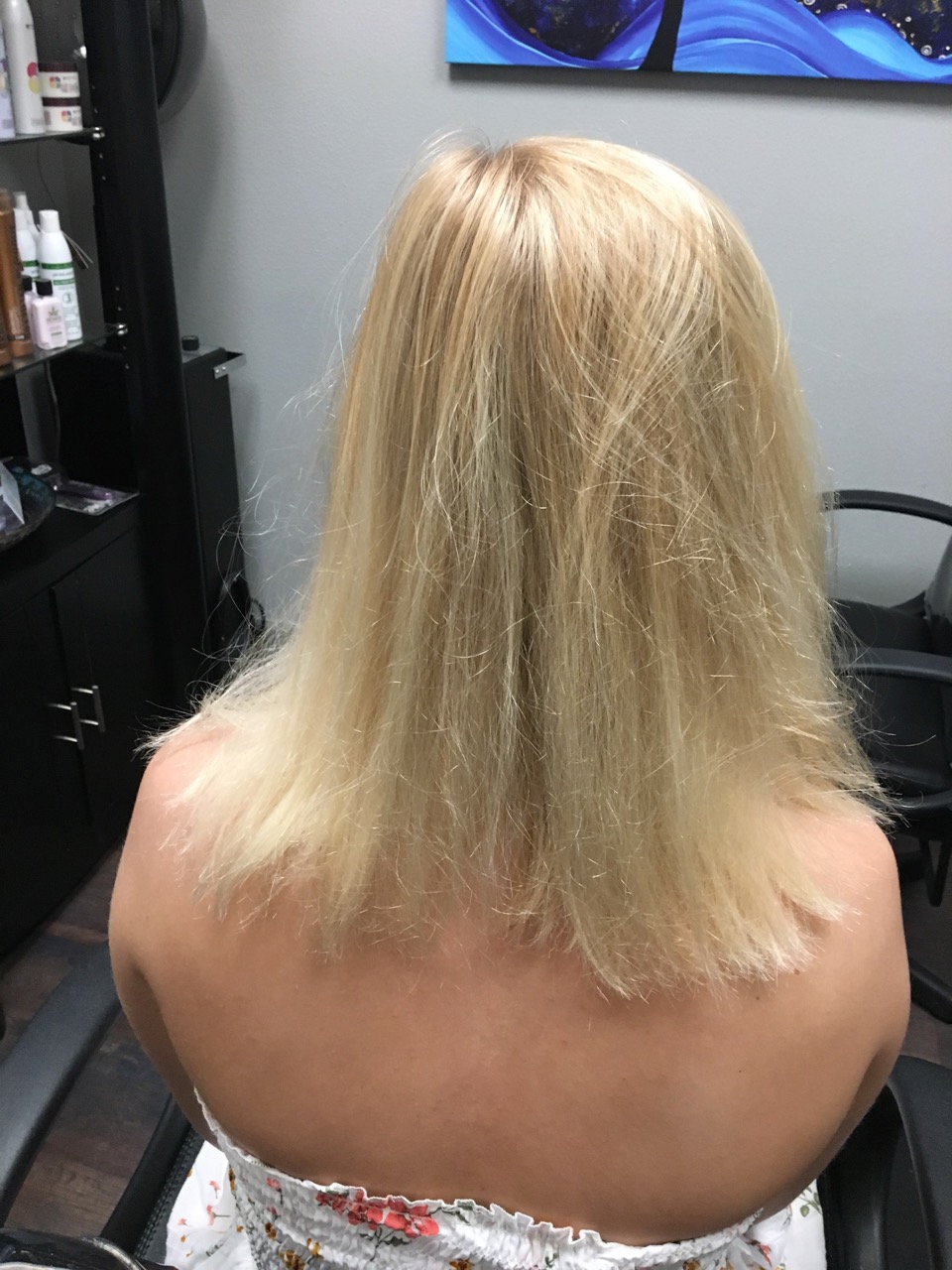 Minneapolis Hair Extensions Photo Gallery 2