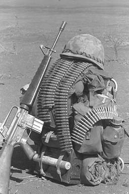 “This Is True”: Between the Memory and History of Tim O’Brien’s Trauma ...