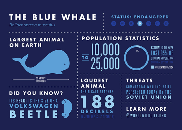 Astronomicum Caesarium: from Tome to Postcard · Reading Technologies ...