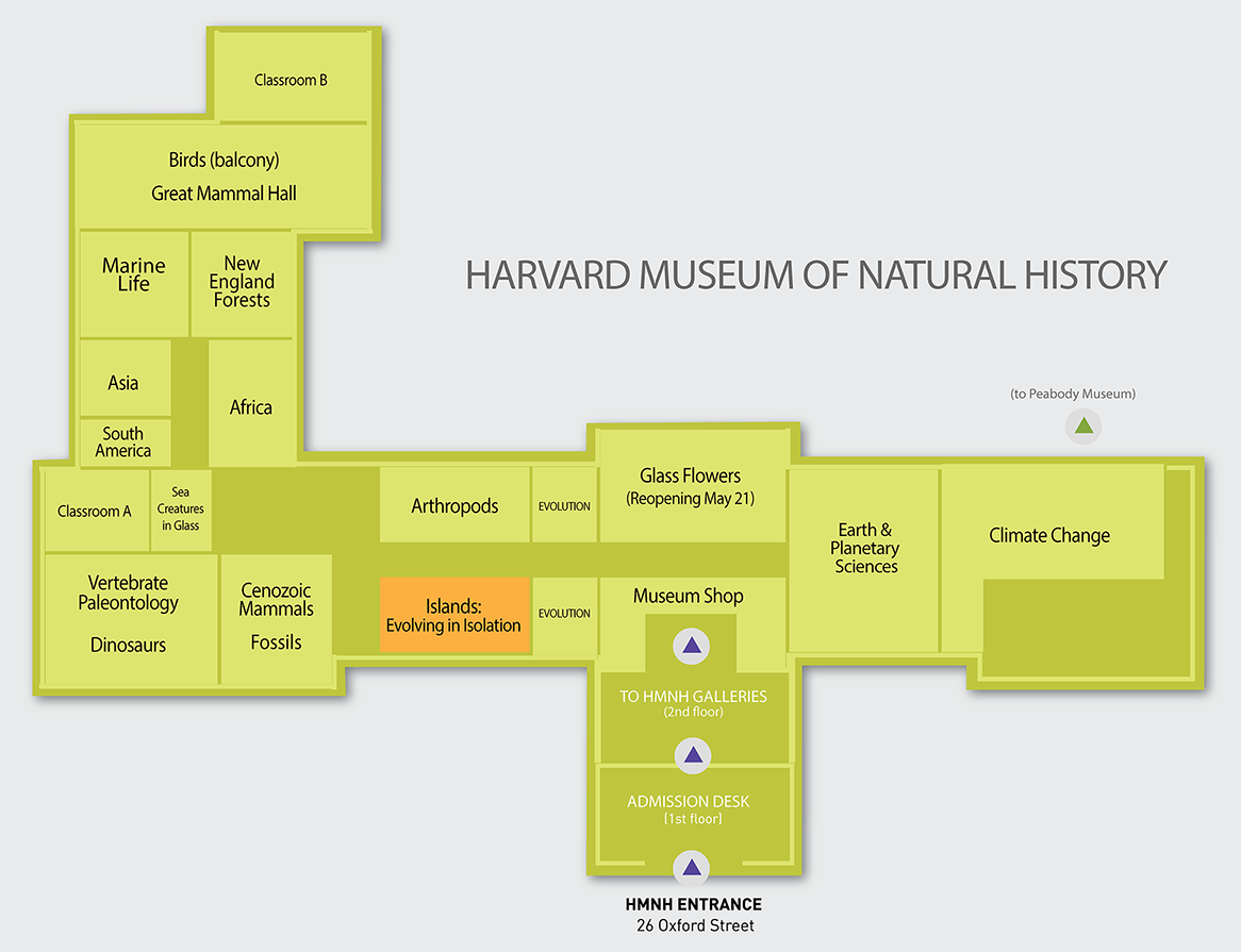Harvard Museum of Natural History · HUM 11c Omeka