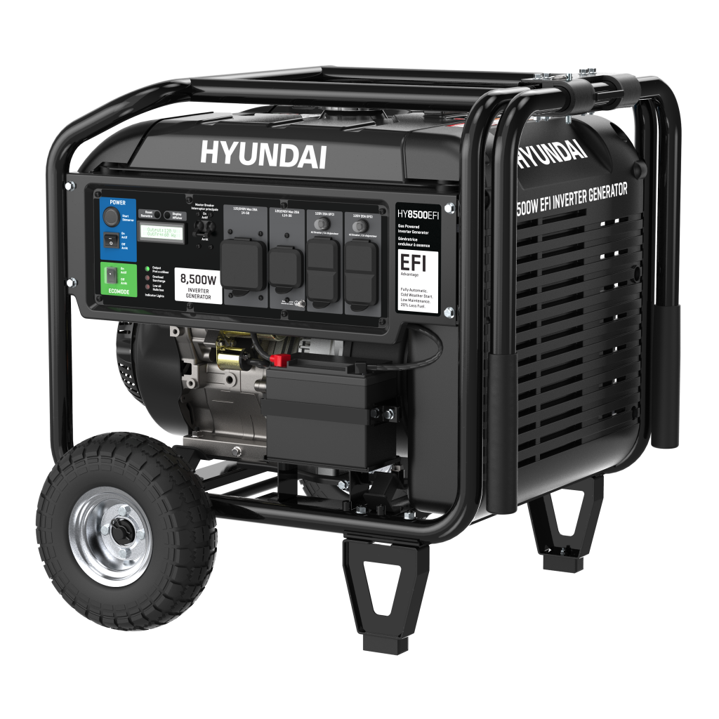 BRUCE'S FOUR SEASONS