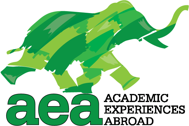 Academic Experiences Abroad - Campaign