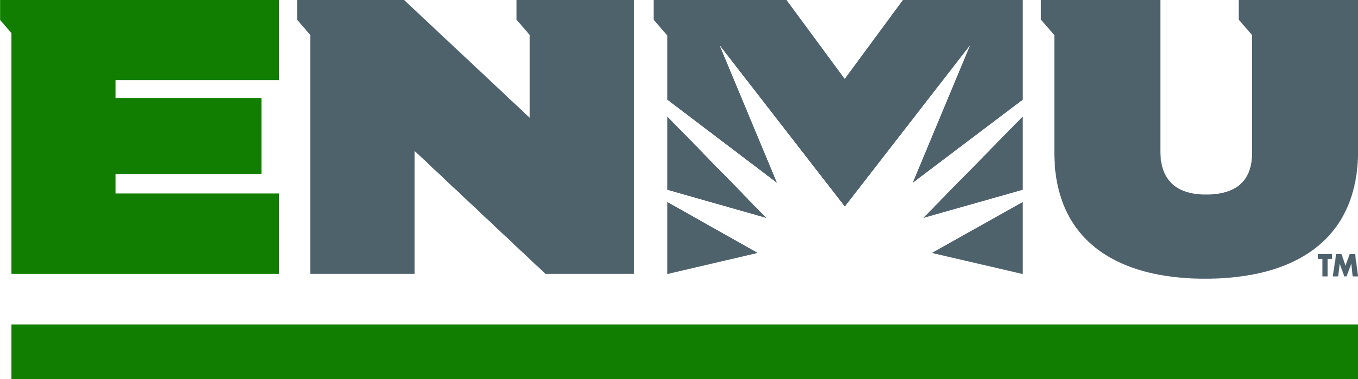 ENMU Foundation - Campaign