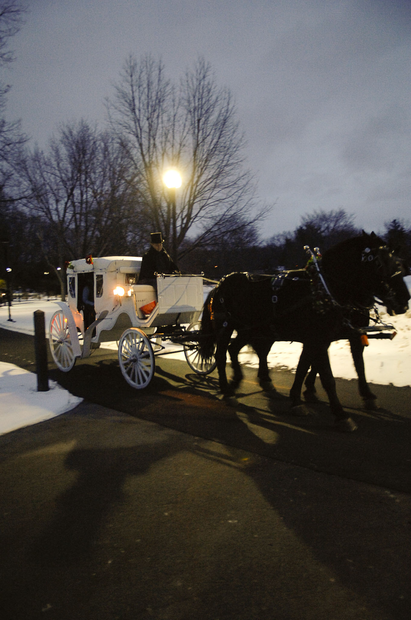 Nazareth College Hosts Annual Valentine's Day Carriage Rides