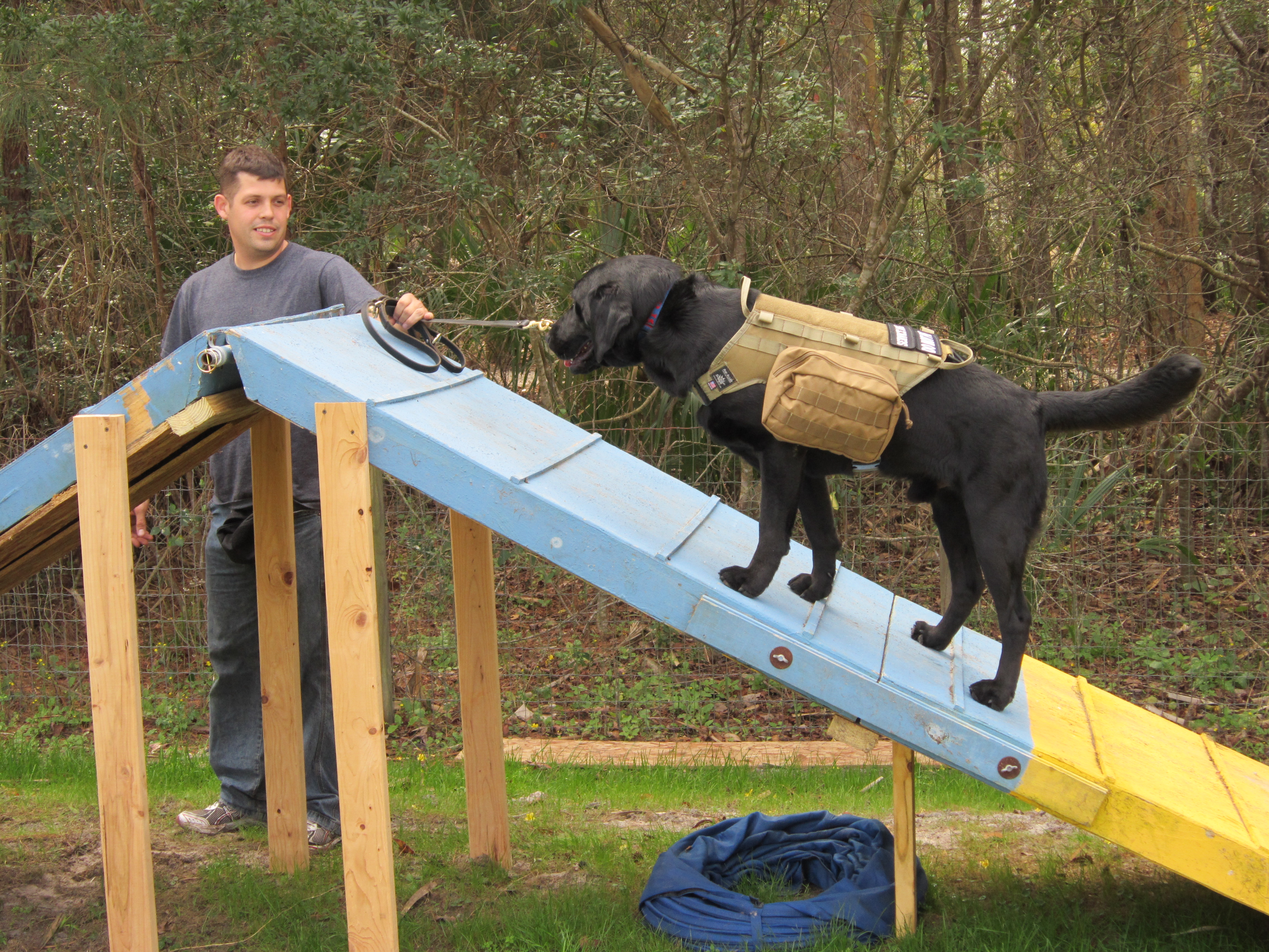 Jaeckle, K9s for Warriors help veterans with PTSD